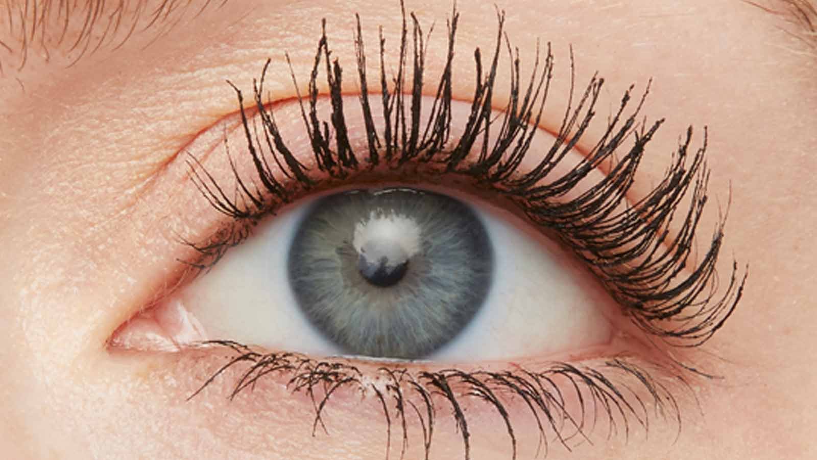 Lash Sensational Sky High Tinted Primer